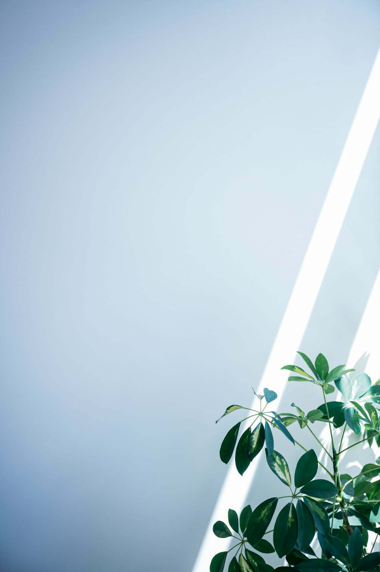 La gestion du stress et de l’anxiété : et si on prenait soin de notre ...